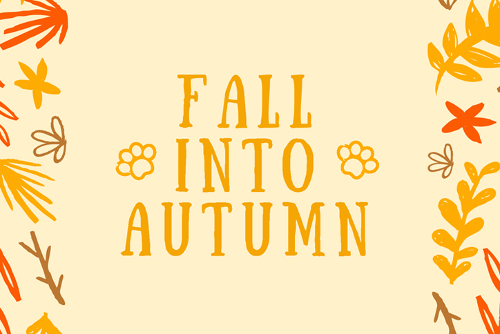 Fall into Autumn Concert and Fun